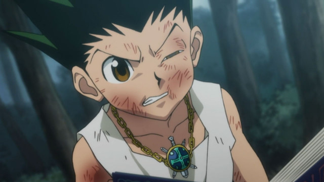Hunter X Hunter - Hunter X Hunter