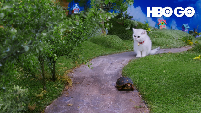 Mittens Và Pants - Mùa 1 - Mittens & Pants S1 17: Tortoise And The Mittens